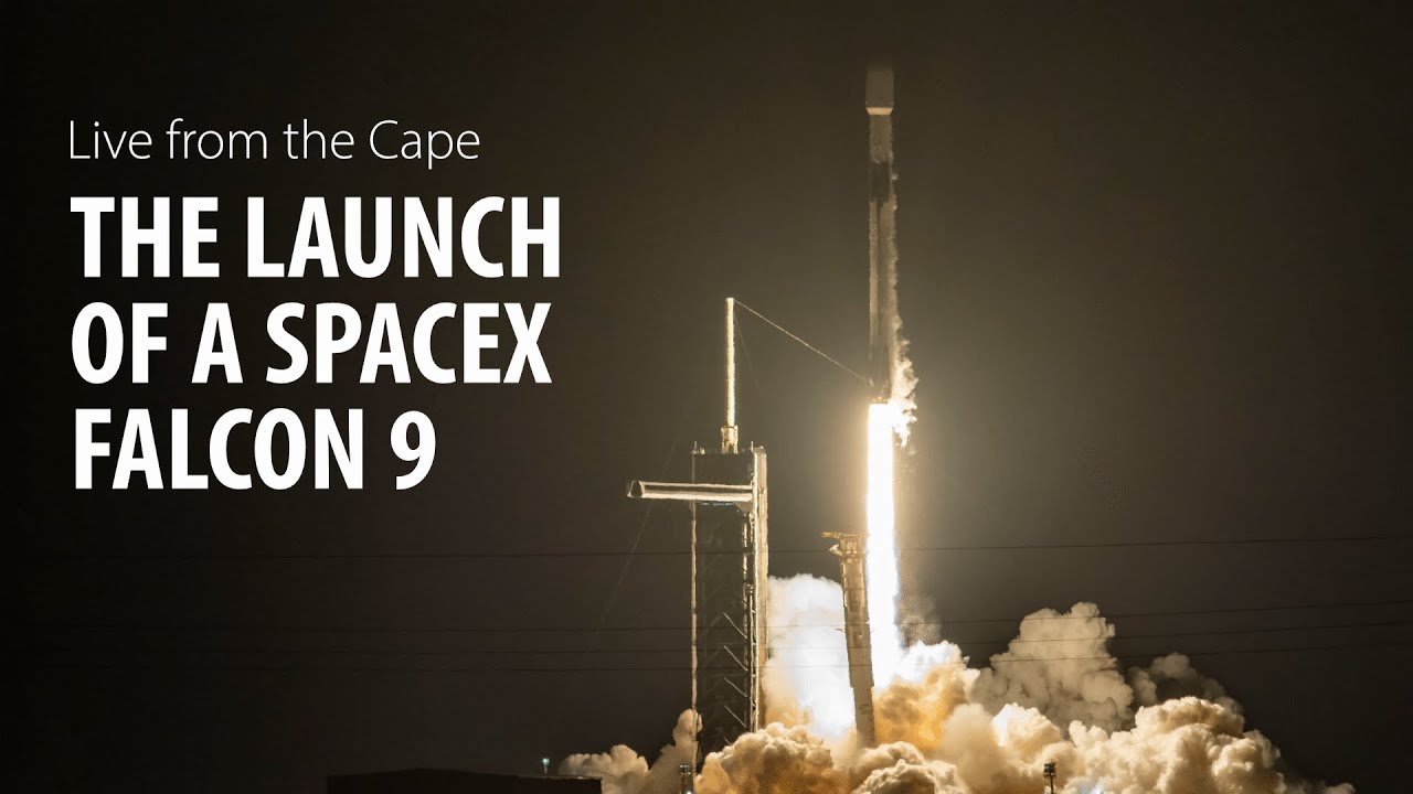 Zoomy (ズーミー)